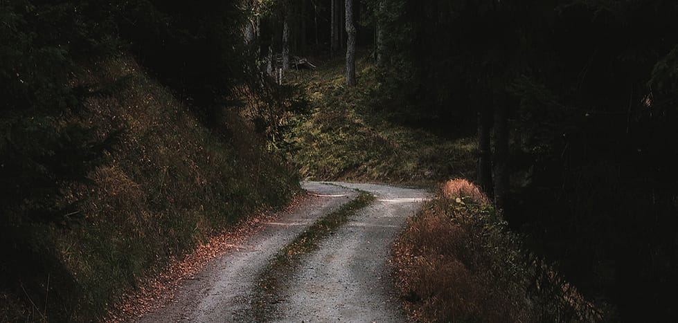 Hey Maven! Did you forget about this consistency piece? | Miara Shaw